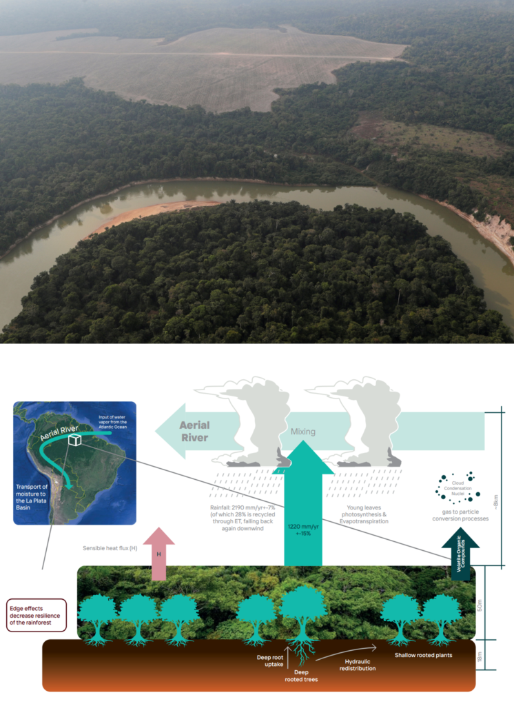 Amazon assessment report 2021: het Amazonewoud, één van de ...